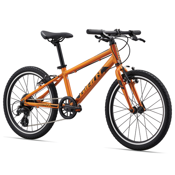 Giant ARX 20 - The Bike Shop