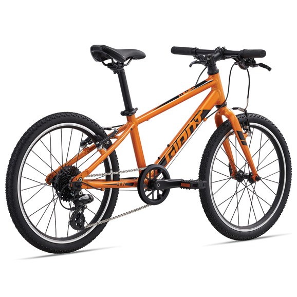 Giant ARX 20 - The Bike Shop